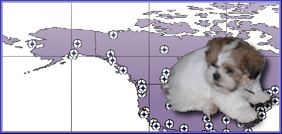 SPLASH SCREEN QGIS | pigrecoinfinito