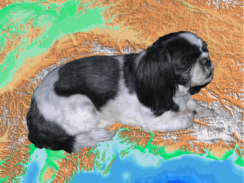 SPLASH SCREEN QGIS | pigrecoinfinito